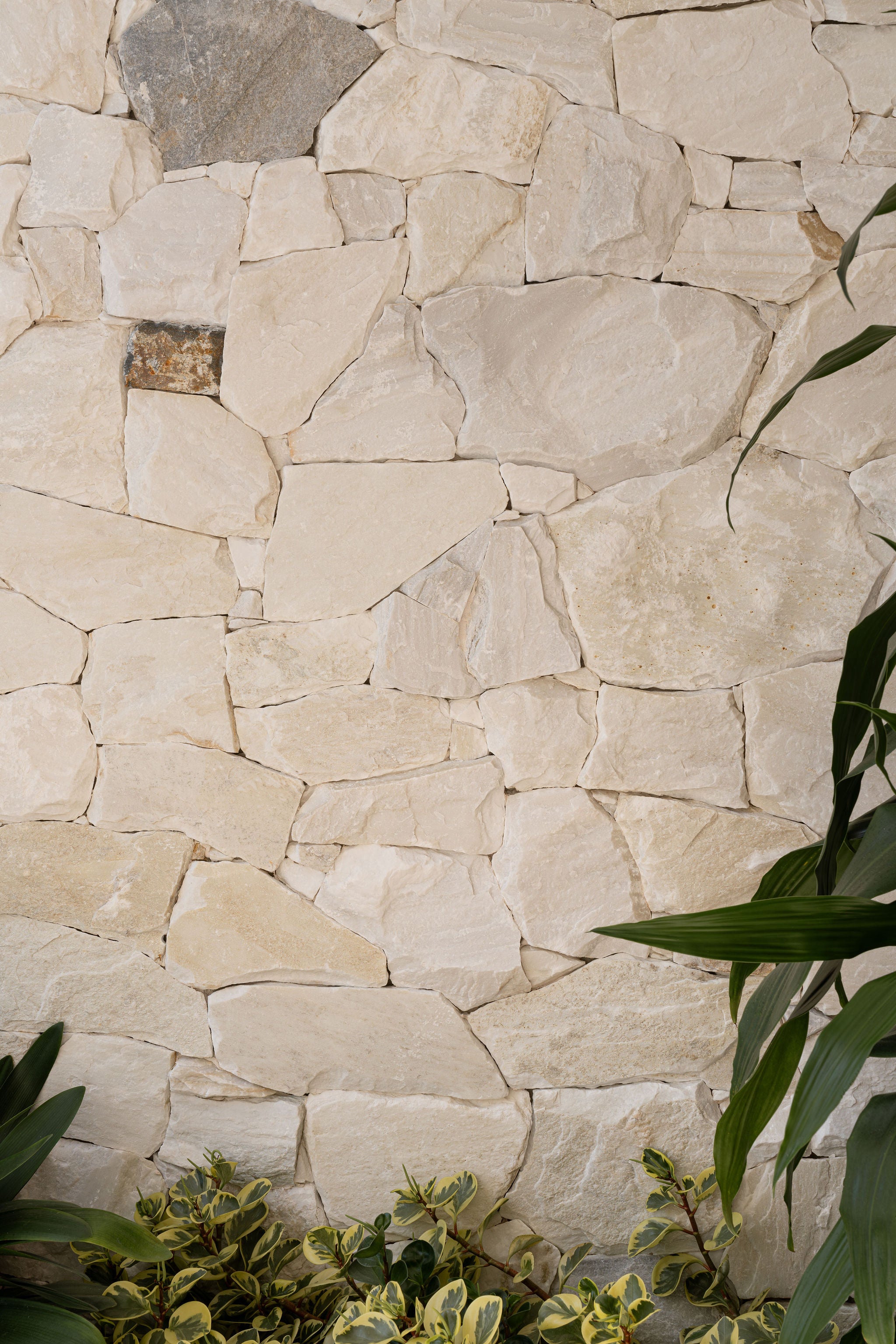 Elowen Stone - Freeform – Arlo Stone & Finishes